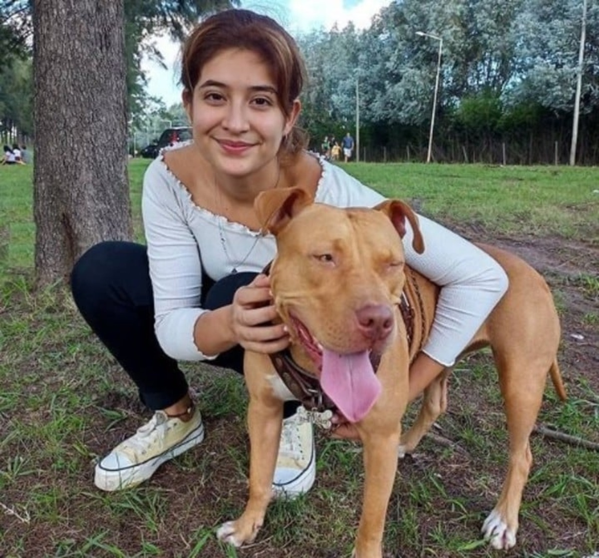 La historia de la joven que festejaba un cumpleaños, fue atropellada por un borracho en Tigre y ...