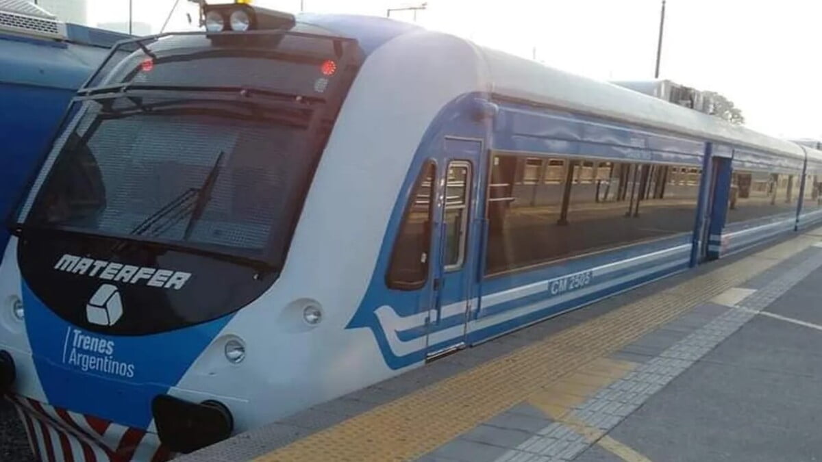 Ramal Haedo - Caseros del tren San Martín: el paso clave que dio para ...